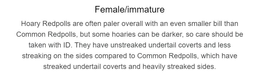 Redpoll – Common or Hoary? | West Nipissing ATV Club